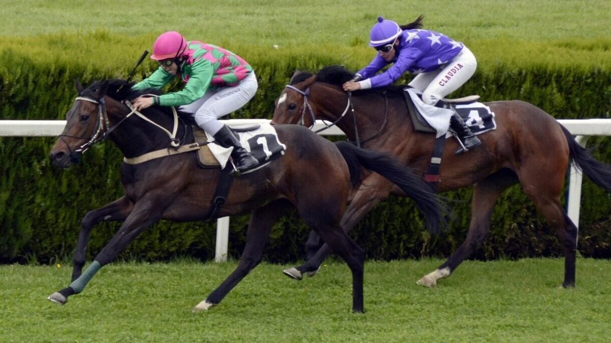 Why Jockeys Stand During Races: Riding Techniques Explained