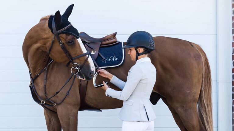 Western Vs. English Horse Riding: Differences & Similarities