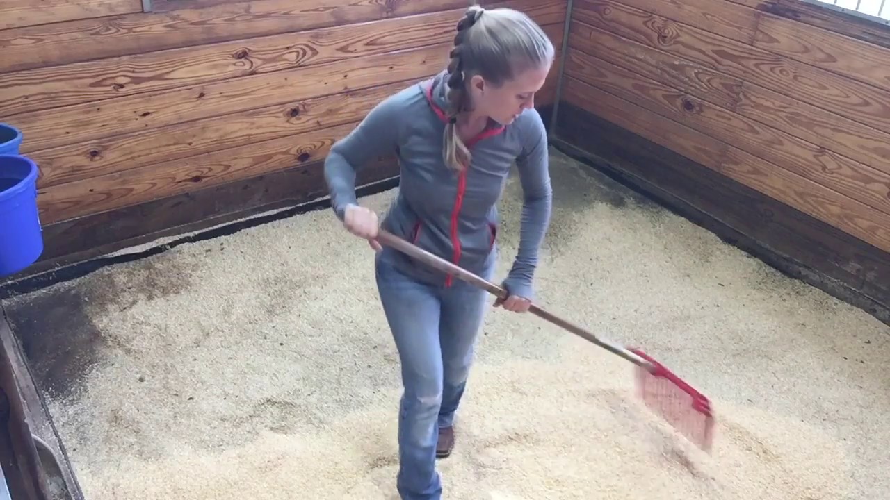 Horse Barn Air Quality: Ultimate Dust, Odor & Ammonia Guide