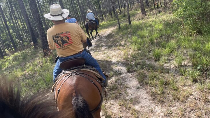A Guide To The Best Horse Riding Trails In All 50 States