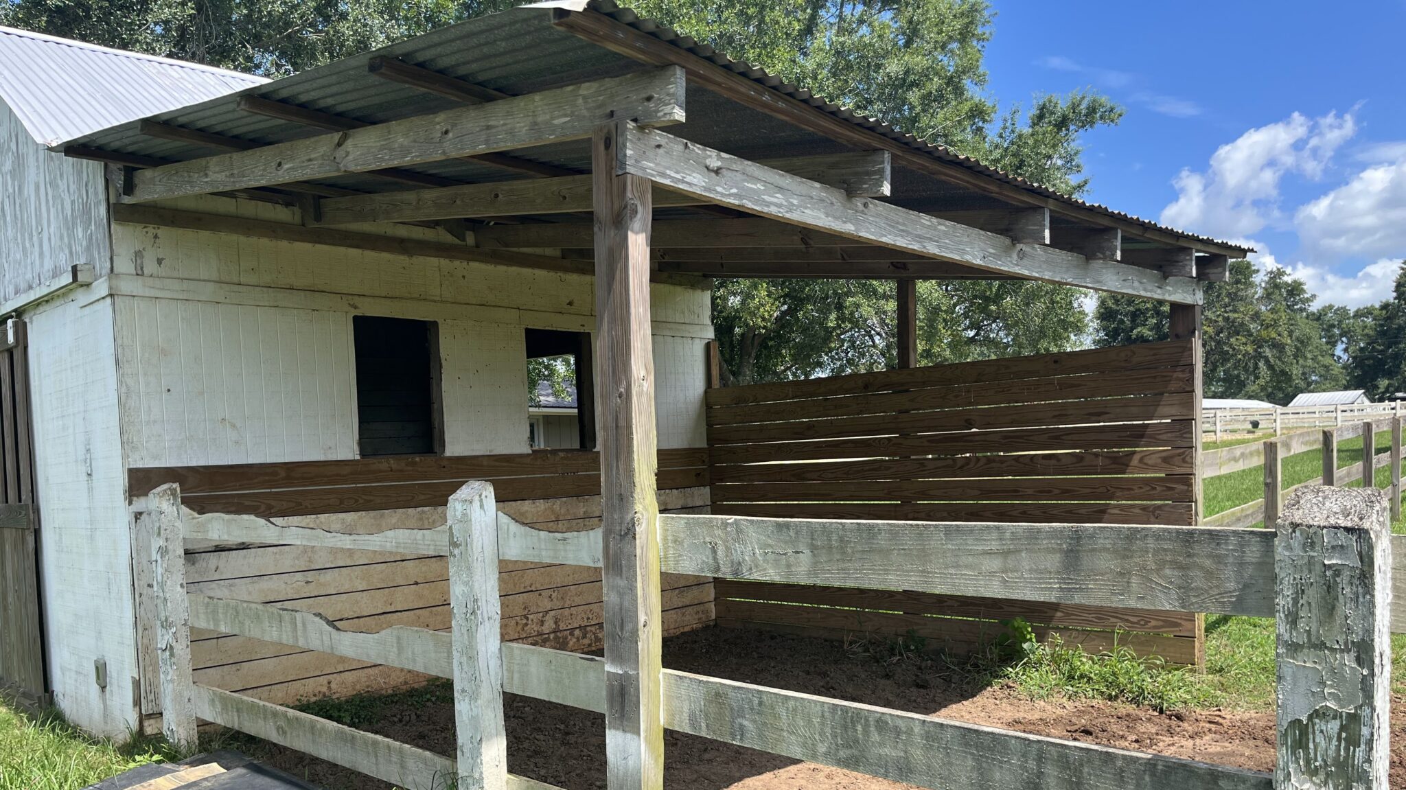 Budget-Friendly Horse Stable: Cost-Effective Building Tips Test Horse ...