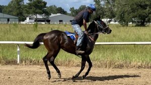 When Do Thoroughbred Horses Start Racing? Age & Timeline