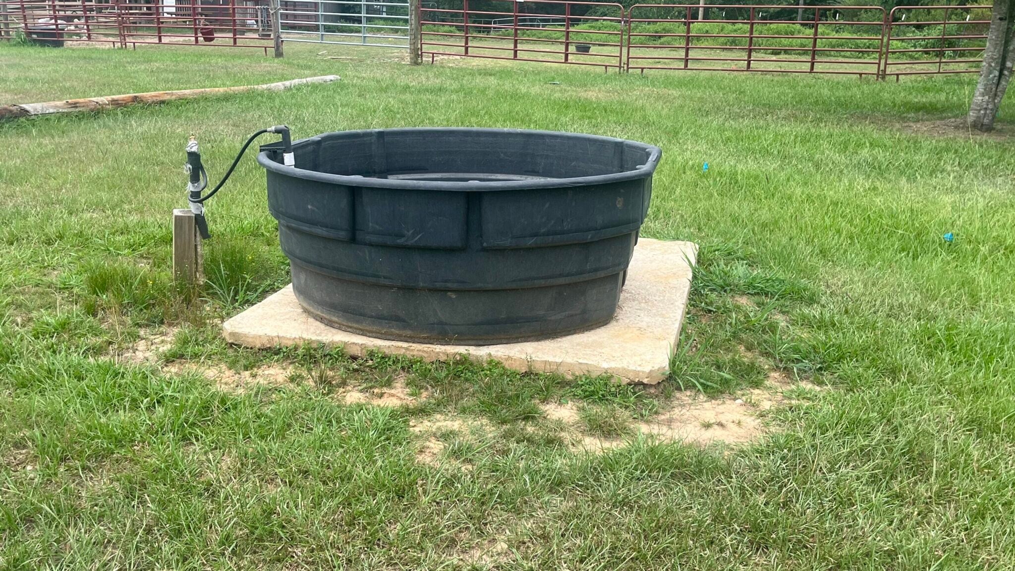 Horse Trough Guide: Top Picks & Watering Tips For Horses