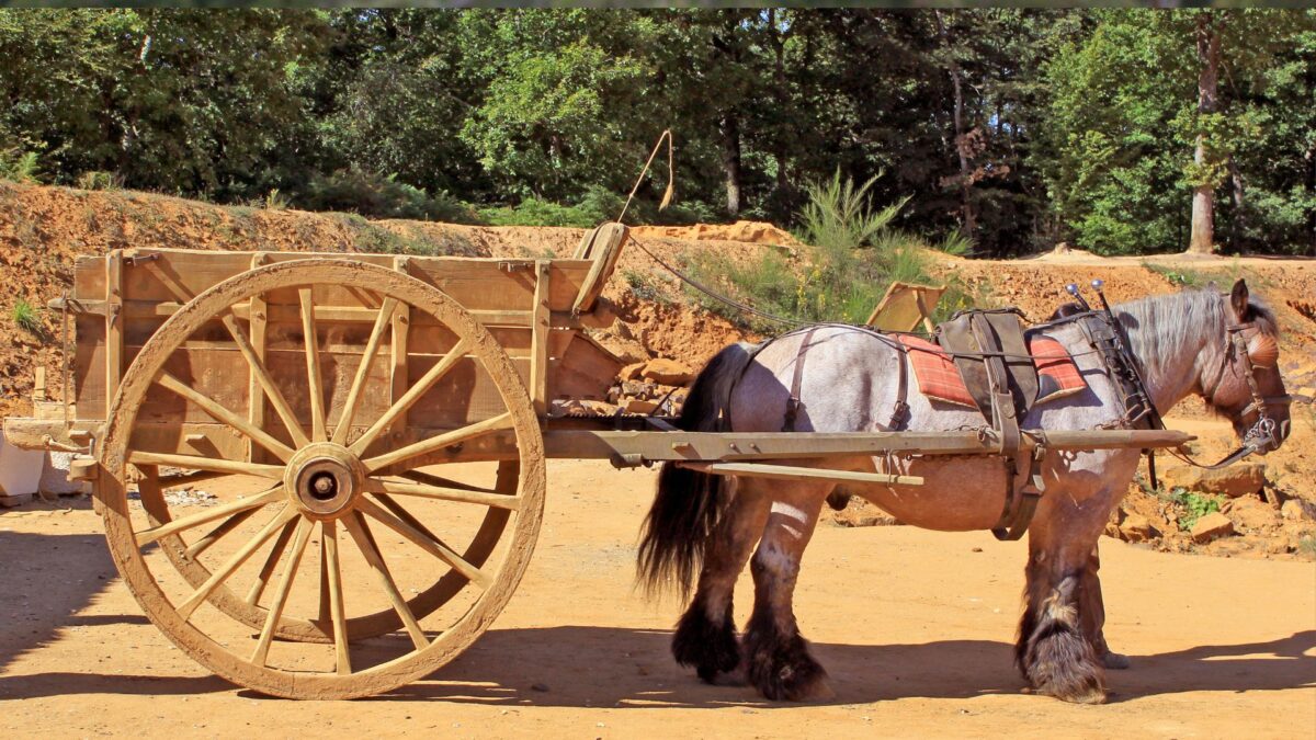 Draft Horses: A Sustainable Farming Solution.