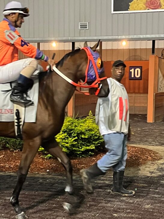 Race Day Rundown: A Deep Dive Into Horse Racing Dynamics