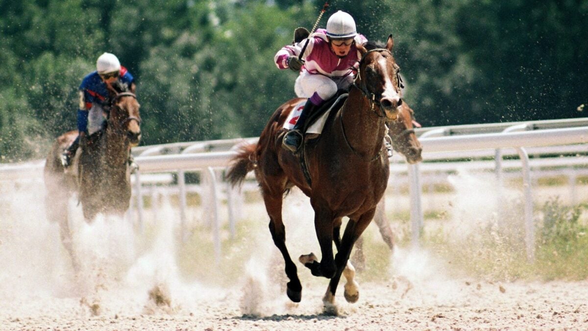 Breeding Racehorses. Traditional & Advanced Methods Explored