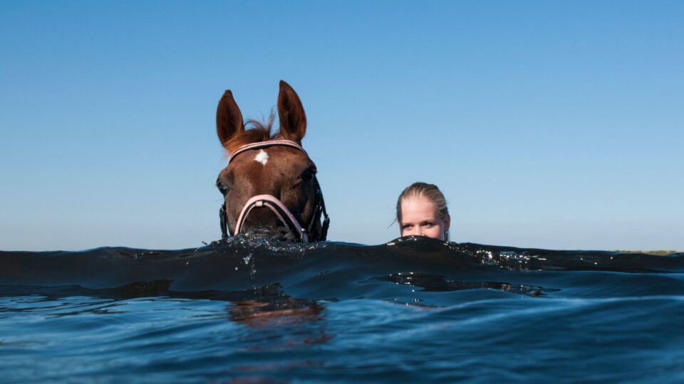 Can Horses Swim? Explore Equine Swimming Secrets