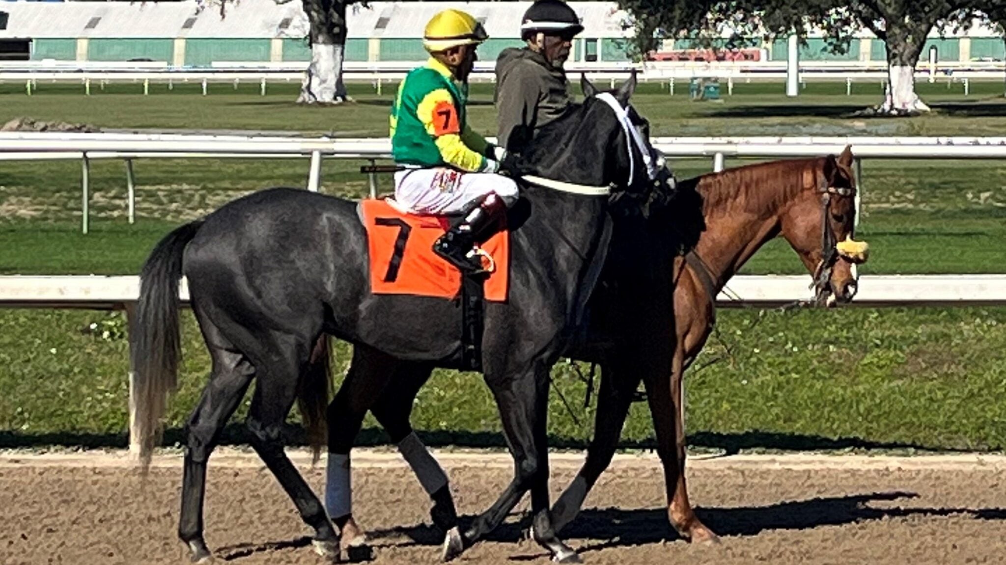 World's Best Jockeys: Global Stars Of Horse Racing