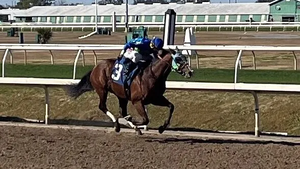 Why Do Horses Race Counter Clockwise? Left Is Right