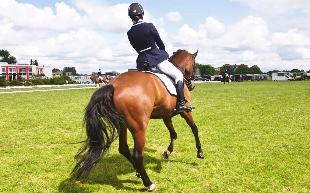 Horse Riding Styles: A Comprehensive Guide