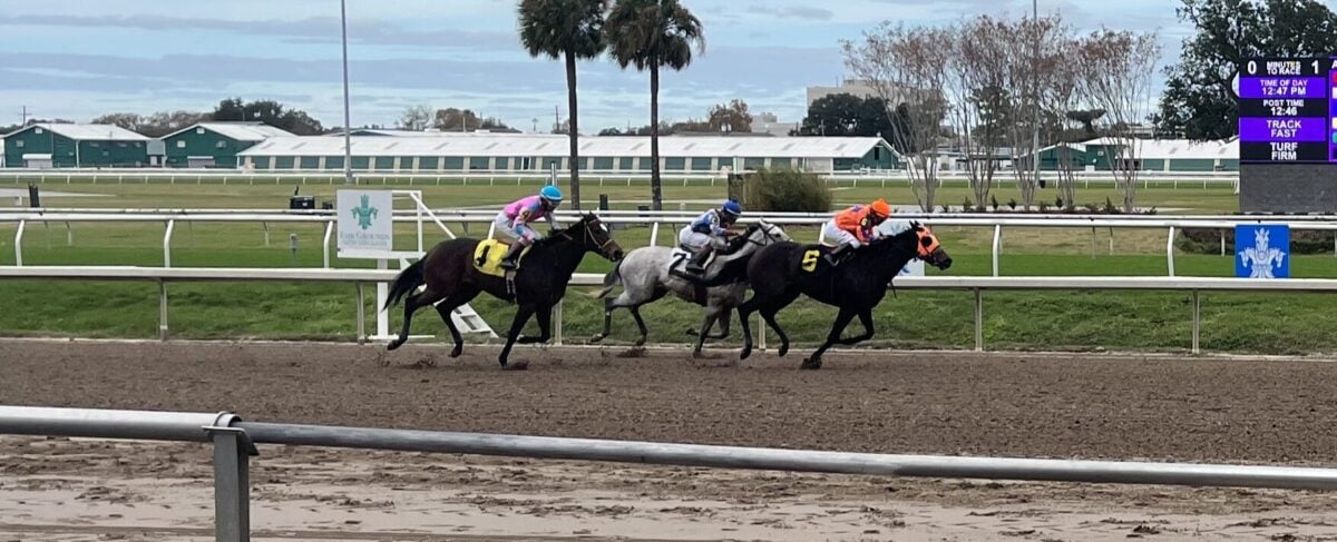 Claiming Races Explained: HISA Rules, & Proven Strategies