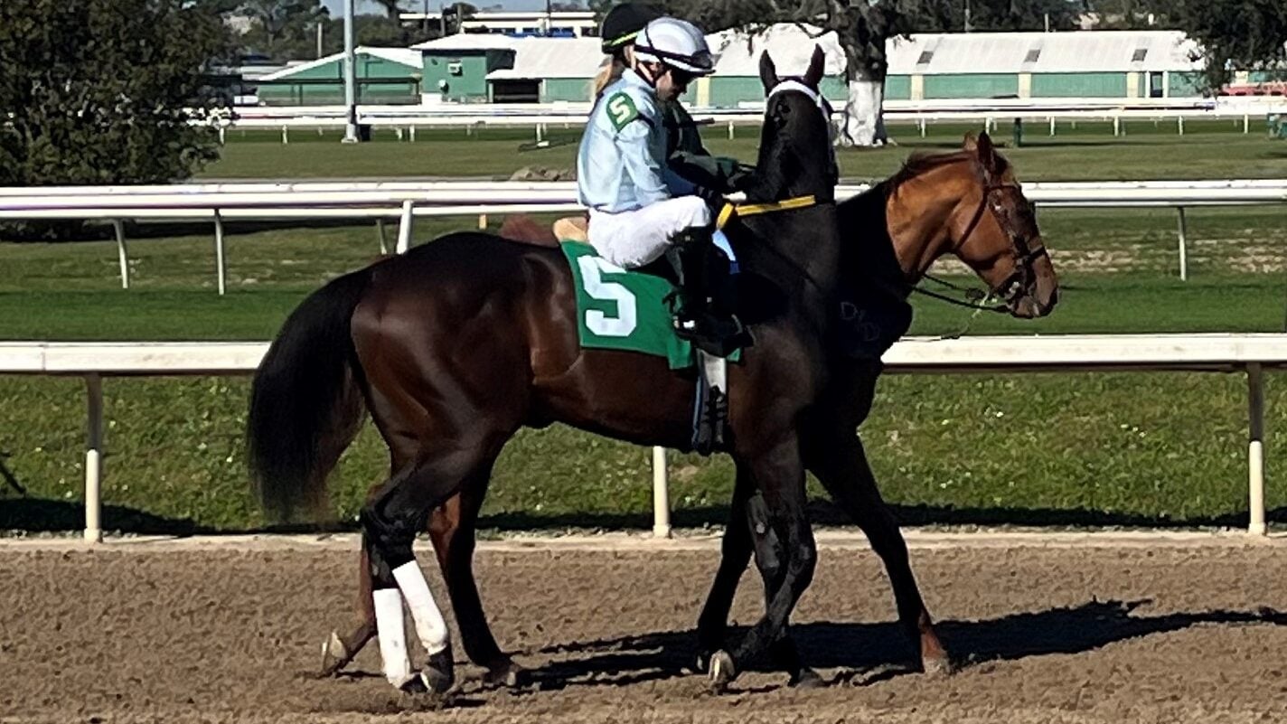 Are Thoroughbreds Good Trail Riding Horses?