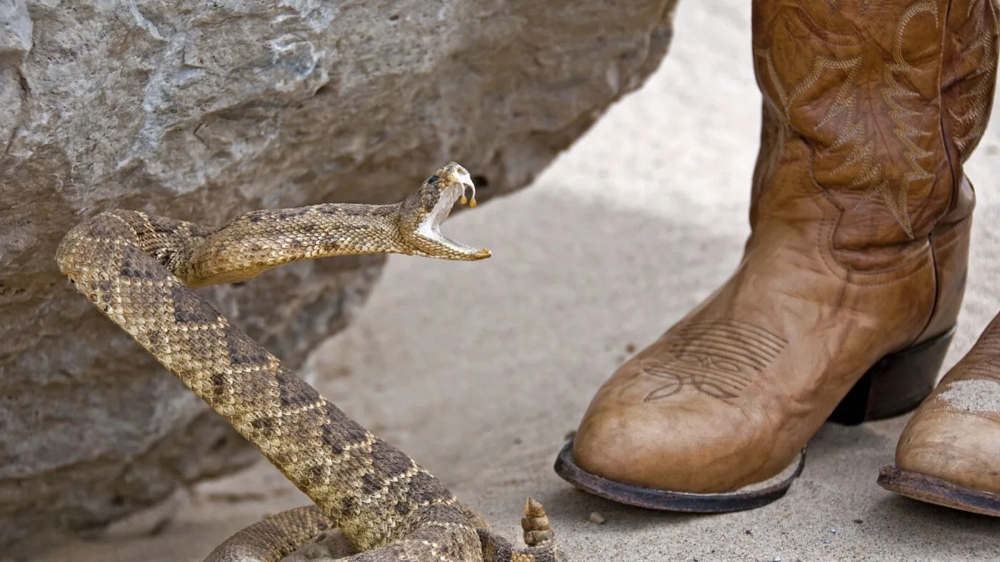 Leather Boots' Snake Bite Protection: A Comprehensive Guide.
