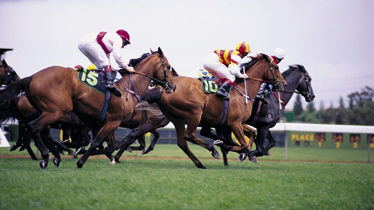 Stakes Races 101: Qualification & Basics