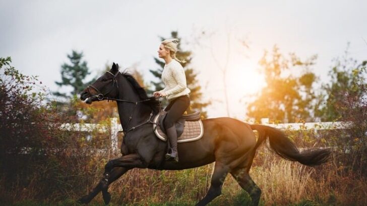 Chestnut Horse Color: The Science And Shades Of Fire