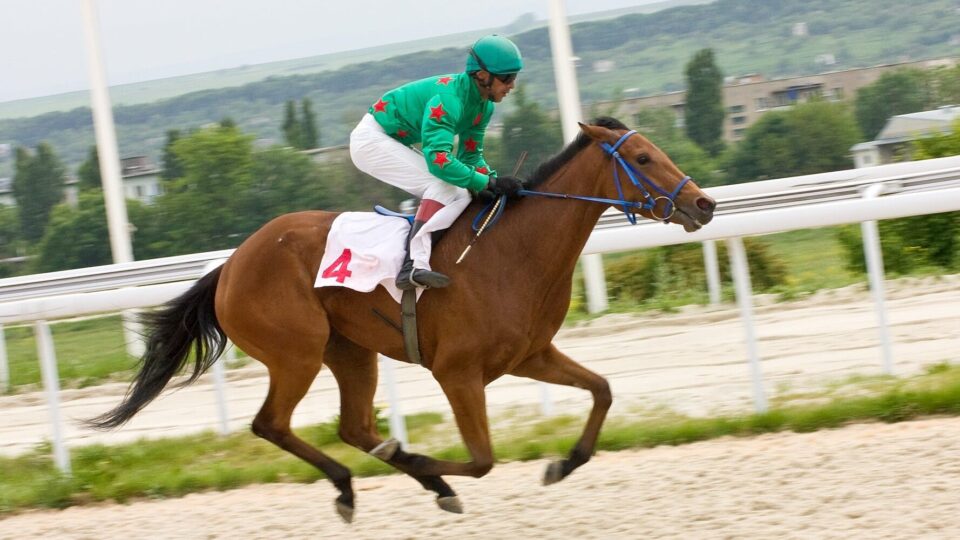 Why Jockeys Stand During Races: Riding Techniques Explained
