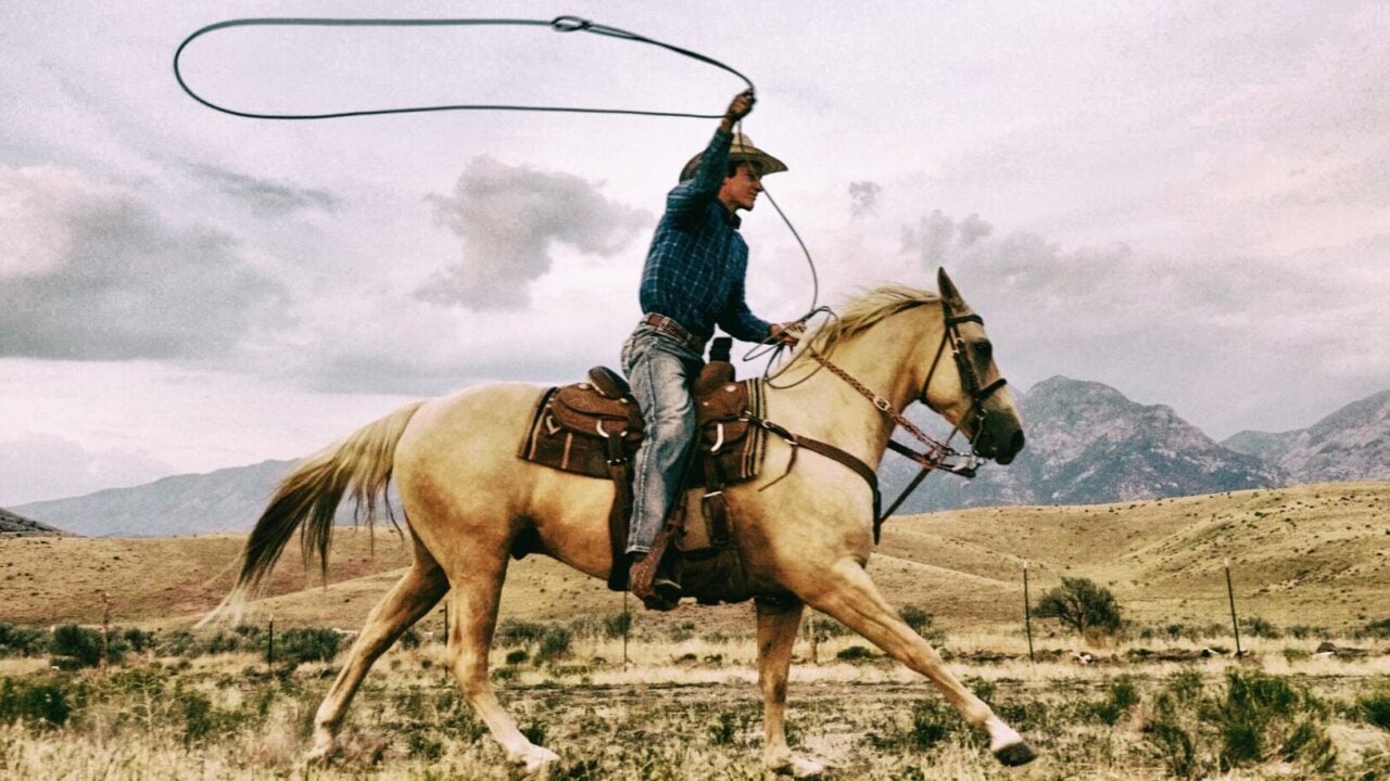 Choosing The Right Western Saddle: A Comprehensive Guide.