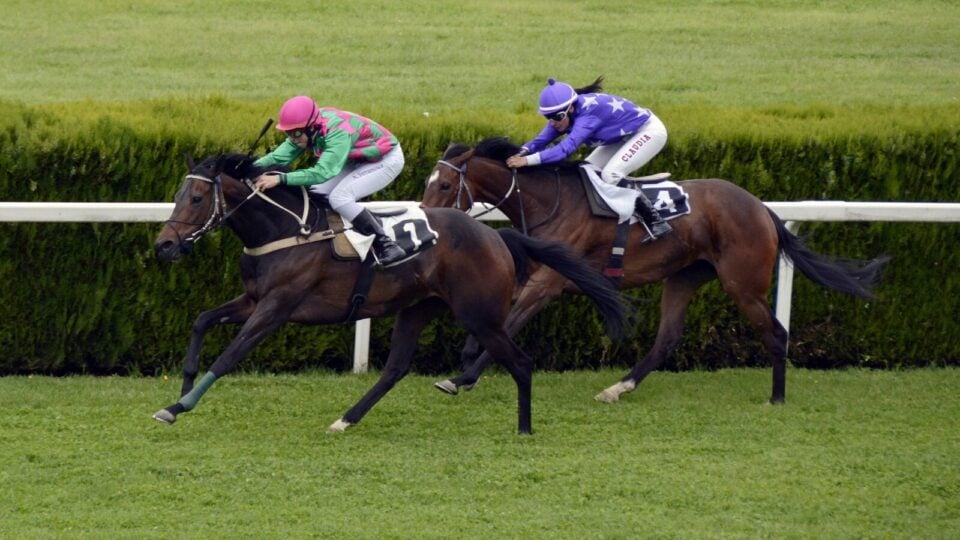 Horse Racing Pace And Running Styles Explained
