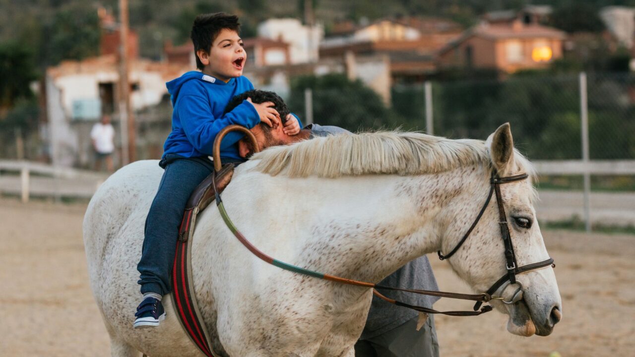 The Healing Power Of Horses: Equine Therapy In Action