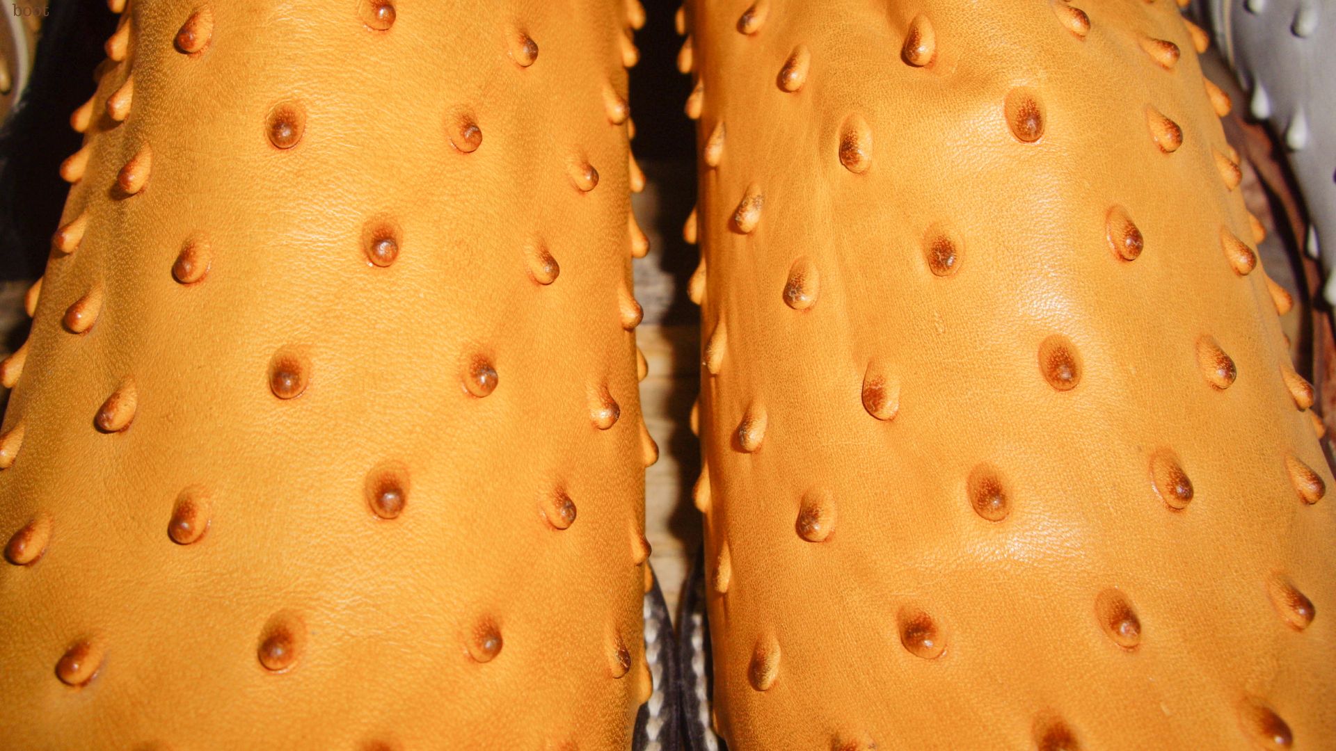 Cowboy Boot Leather: Types, Care, And Buying Guide