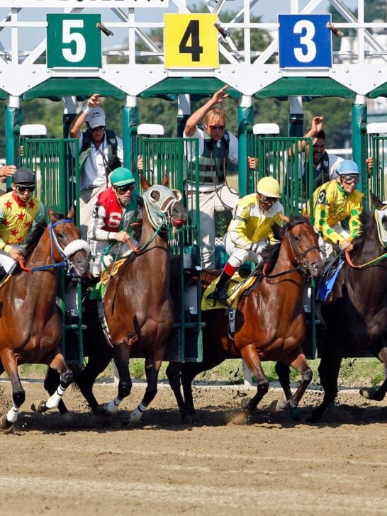 Horse Racing Handicapping & Betting Guide (Tips To Win)
