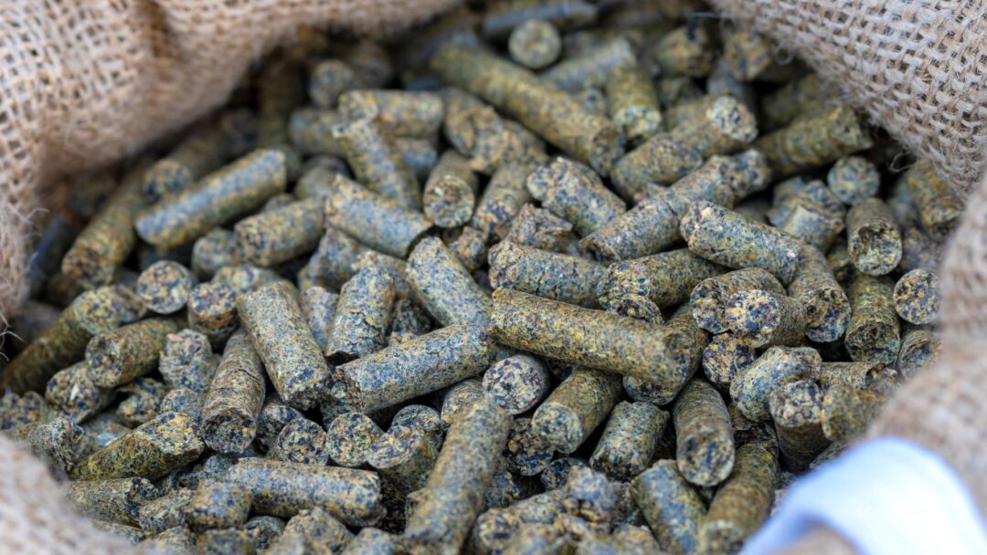 Hay Alternatives For Horses: Pellets, Cubes, And Silage