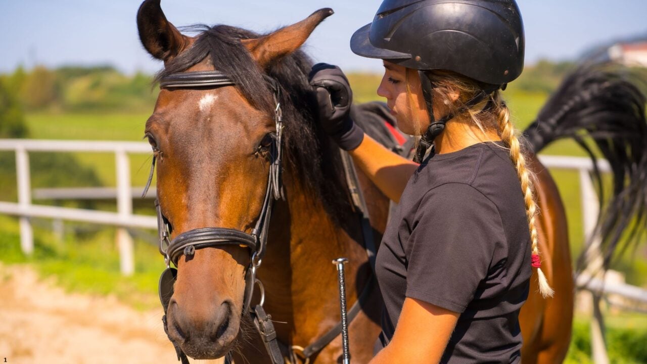 Best Horse Breeds For Equestrian Disciplines