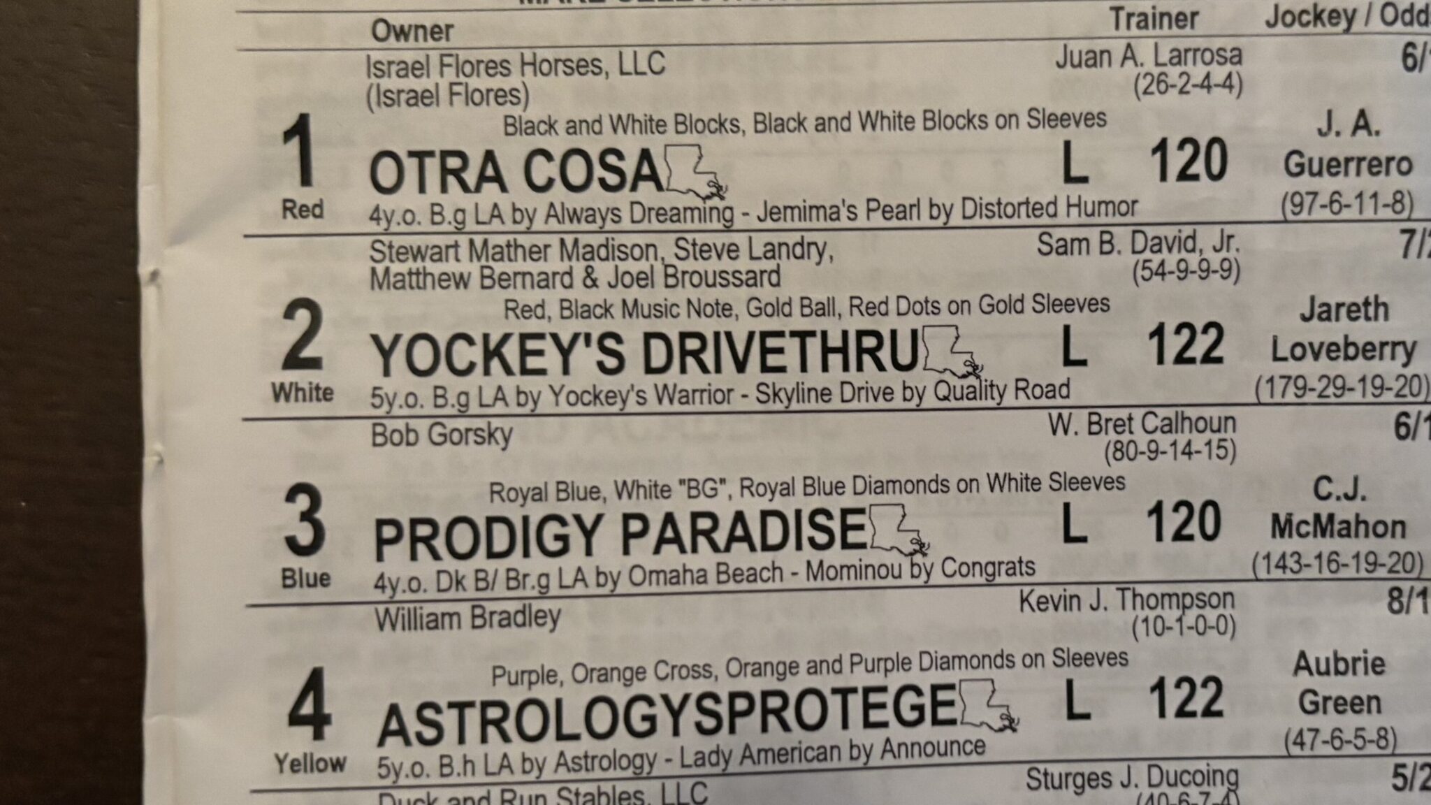 Lasix In Horse Racing: Benefits, Risks, And Regulations