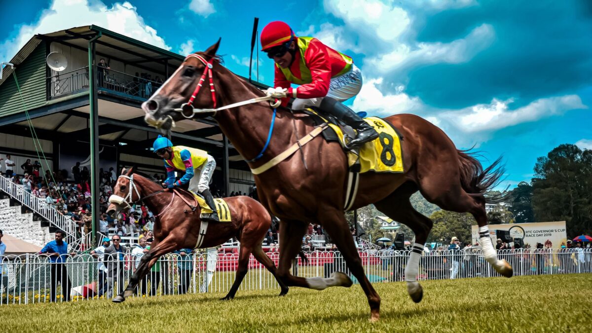 Horse Racing Handicapping For Beginners: 6-Step Method