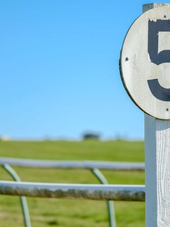 Horse Racing Pace Figures: Furlong Conversion Guide